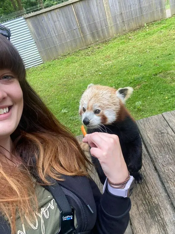 Animal Experiences - What to do at the Weekend